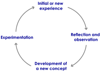 Action and Reflection | Katherine Kunz, Ph.D.